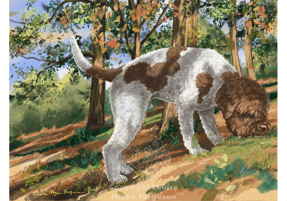 Sun Dappled Search - Limited Edition Print – Louise Mizen Ferguson