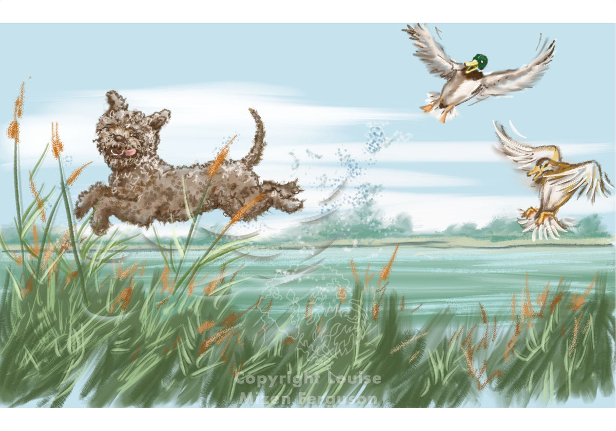 Italian Duck Retriever - Limited Edition Print – Louise Mizen Ferguson