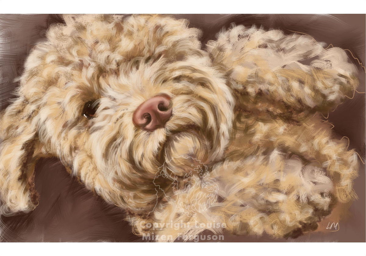 Lagotto Snuggles - Limited Edition Print – Louise Mizen Ferguson